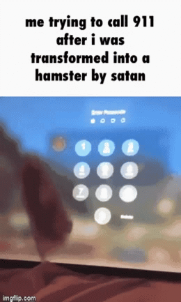 Animated GIF - Imgflip