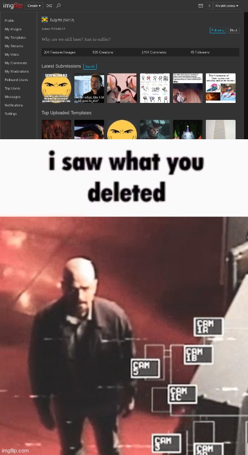 Two 2020 users deleted at once - Imgflip