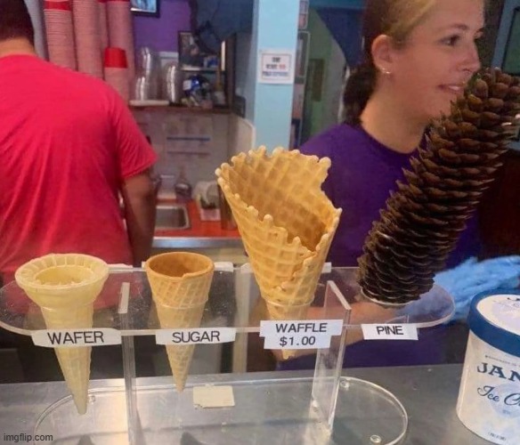 Tbh it would actually be cool to eat ice scream on something like a pine cone - Imgflip