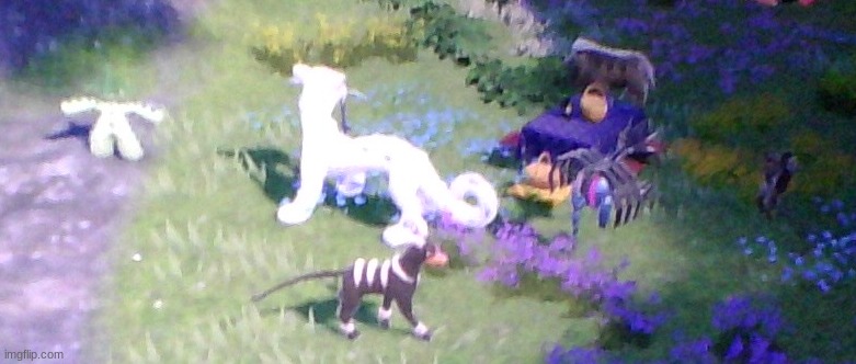 e bill :smiling_imp: - Imgflip