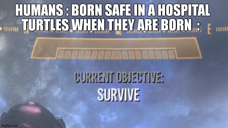 Current Objective Survive Imgflip