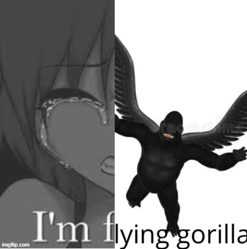 l - Imgflip