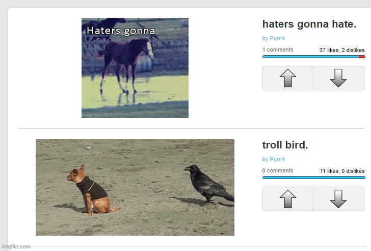 guys what happened to my homepage - Imgflip