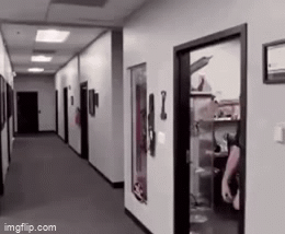 Animated GIF - Imgflip