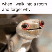 true real true - Imgflip