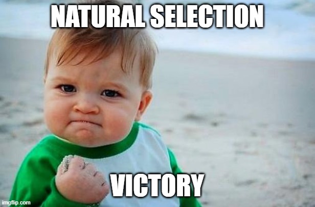 Victory Baby - Imgflip