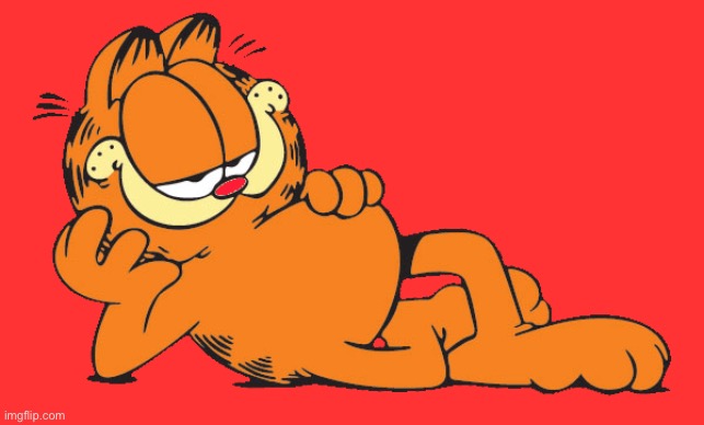 The garf - Imgflip