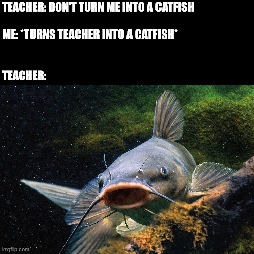 catfish креветка fastfood - Imgflip