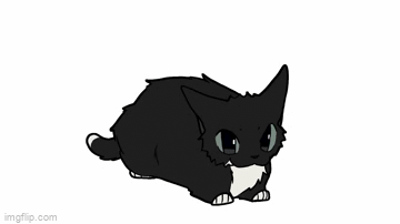 Maxwell but fluffy :) - Imgflip