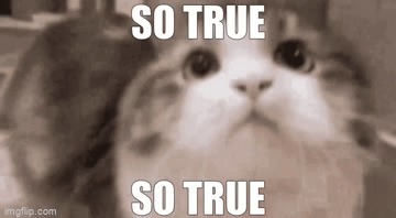 So true - Imgflip