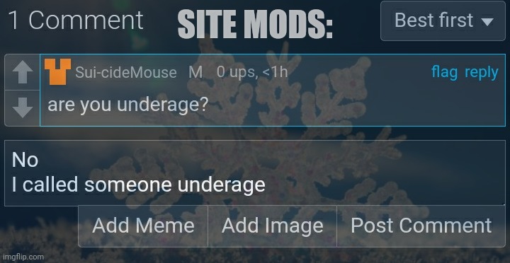 Site mods can't accept their own rules :skull: - Imgflip