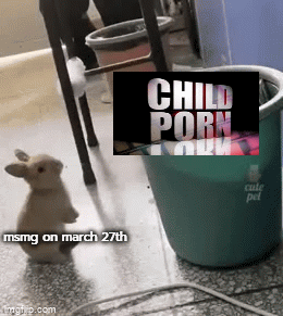 Bunny jumping into trash can - Imgflip