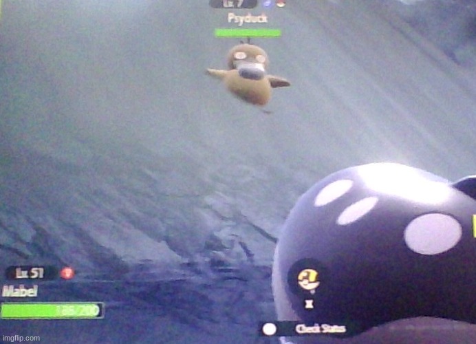 all hail the level 7 psyduck - Imgflip