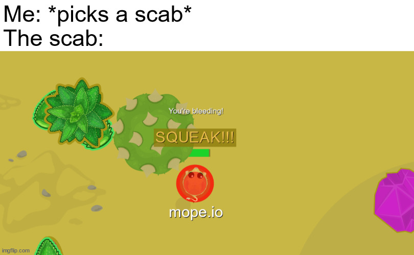 Image tagged in memes - Imgflip