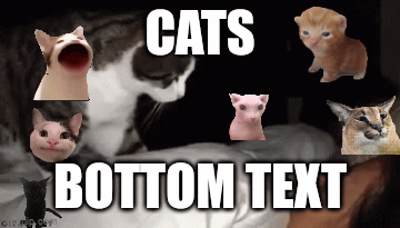 C A T S - Imgflip