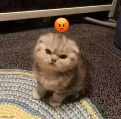 random screenshot of pochitas art (I was trying to prove he had a boner) - Imgflip