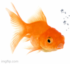 Xtramath be like: - Imgflip