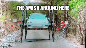 Amish Tesla - Imgflip