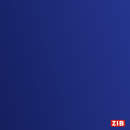 ZIB Blank Template - Imgflip