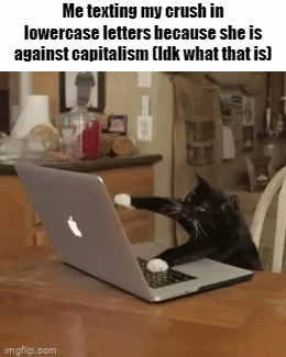 Typing kitty - Imgflip