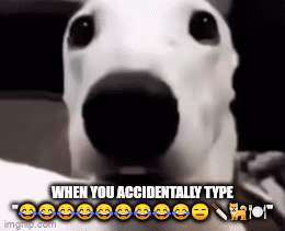 Shivering Dog - Imgflip