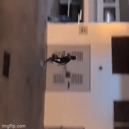 MAN RUNNING FROM A CORONAVIRUS - Imgflip