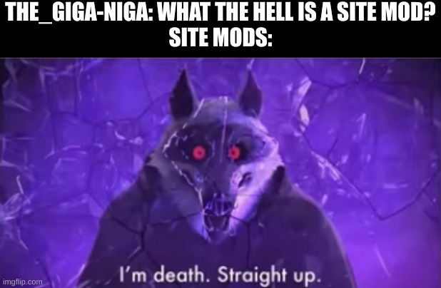 I can't believe he didn't know wtf a site mod was. Let's pray he doesn't post in fun stream or ...