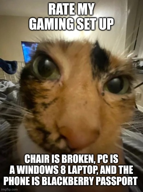 Jonquavius John Jingle Jang Joogle Gloop the 3rd - Imgflip