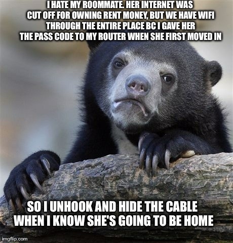 Confession Bear Meme - Imgflip