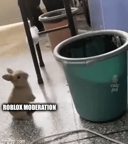 Normal Boblox Moderation - Imgflip