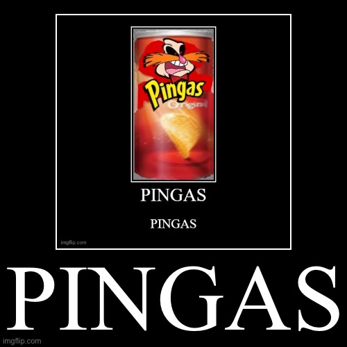 pingas - Imgflip
