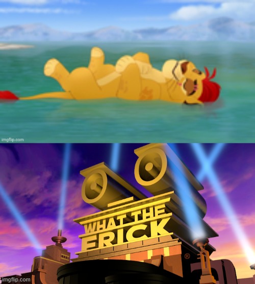 Image tagged in useless gate,what the frick - Imgflip