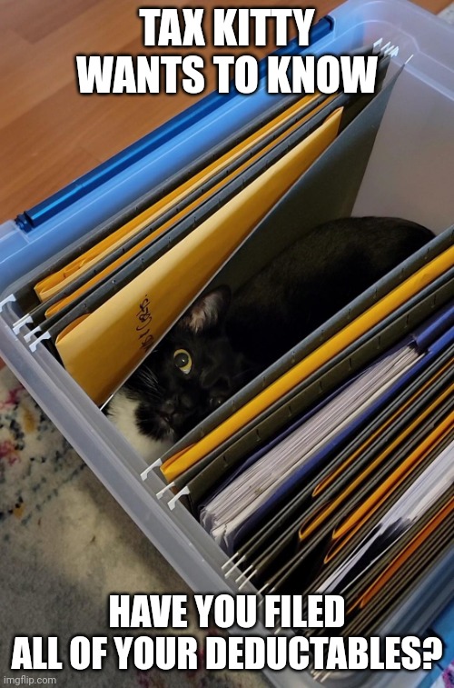 Tax kitty - Imgflip