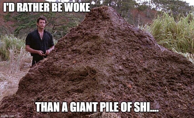One big pile of shit - Imgflip