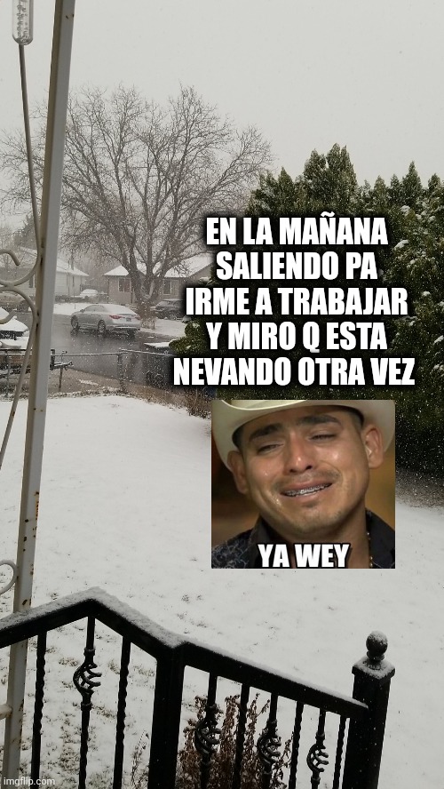 Memes Cuando Esta Nevando Ciudad Juárez Bajo La Nieve: Las