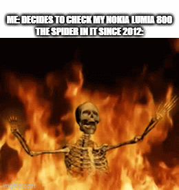 skeleton burning - Imgflip