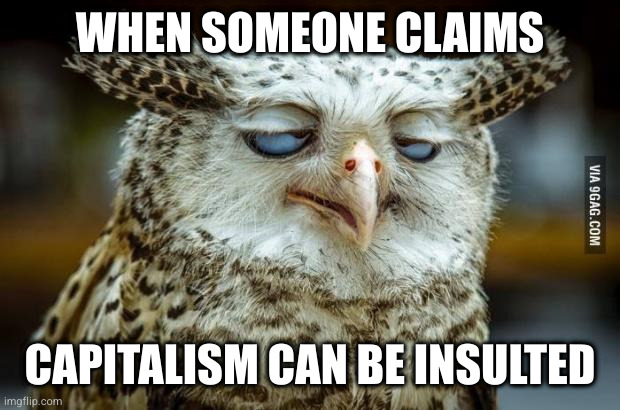 Pleased owl - Imgflip