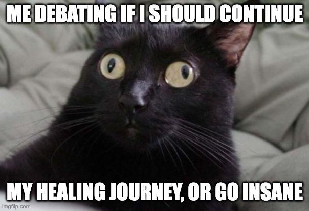 Confused Cat - Imgflip