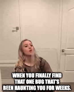 When you finally find that one bug - Imgflip