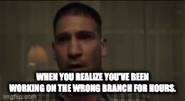 When you realize you've been working on the wrong branch for hours. - Imgflip