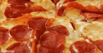 Cat popping out of pizza, magic - Imgflip