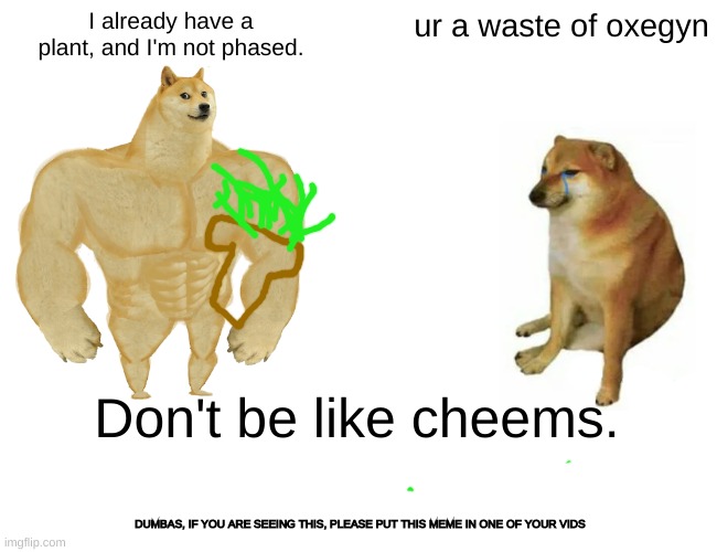 Buff Doge vs. Cheems Meme - Imgflip
