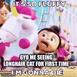Oh my god its so fluffy - Imgflip