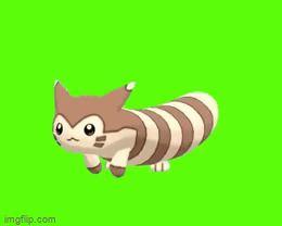 Furret Walk - Imgflip