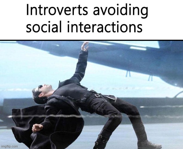 introverts in a nutshell - Imgflip