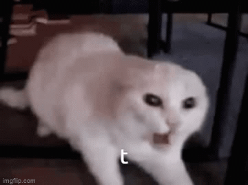 Animated GIF - Imgflip