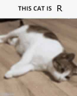 Animated GIF - Imgflip