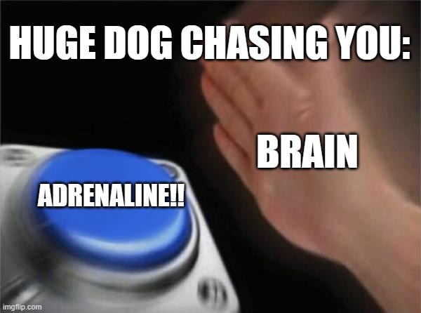 Blank Nut Button Meme - Imgflip