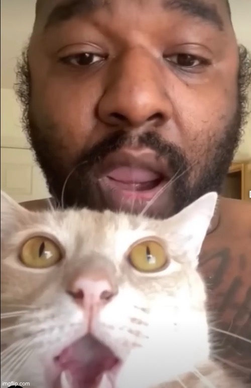 Eazy-E Temp - Imgflip