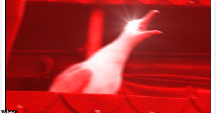 Grr Imgflip
